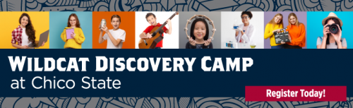 Chico State Professional & Continuing Education