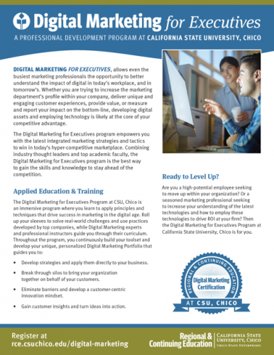 Digital Marketing for Executives Program Online Course Curriculum ...